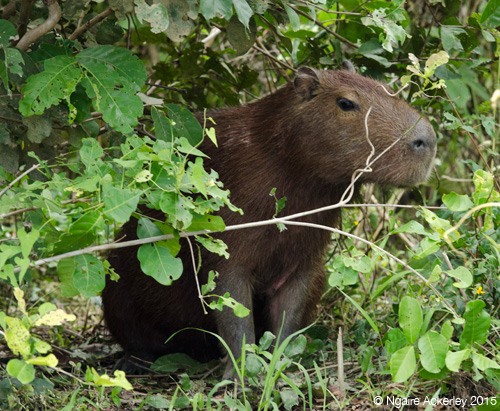 3 Years on.. Places I can’t get out of my head | Kiwi Footprints